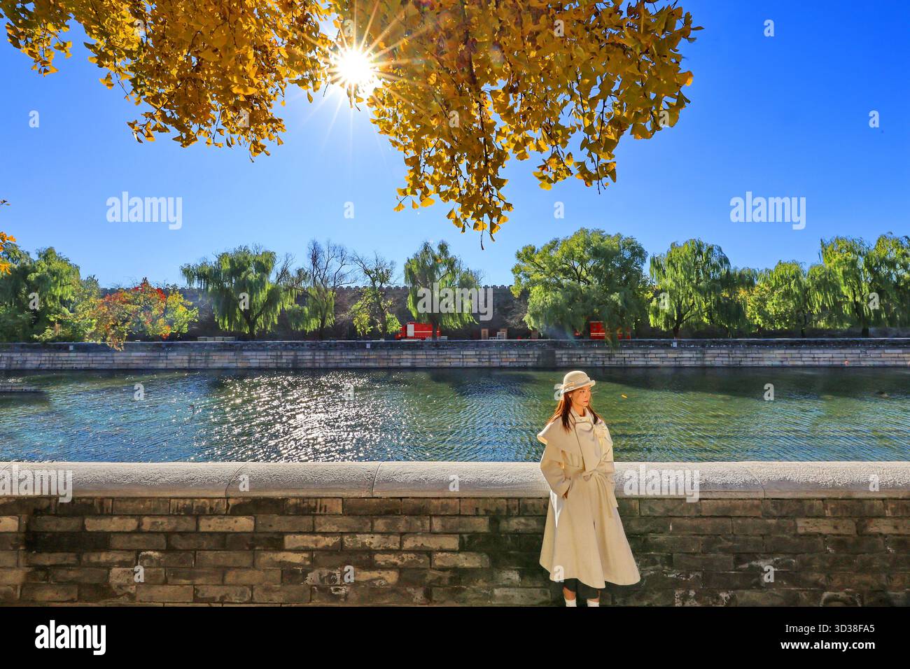 Autumn scenery at the Palace Museum in Beijing, China, 2 November Stock ...
