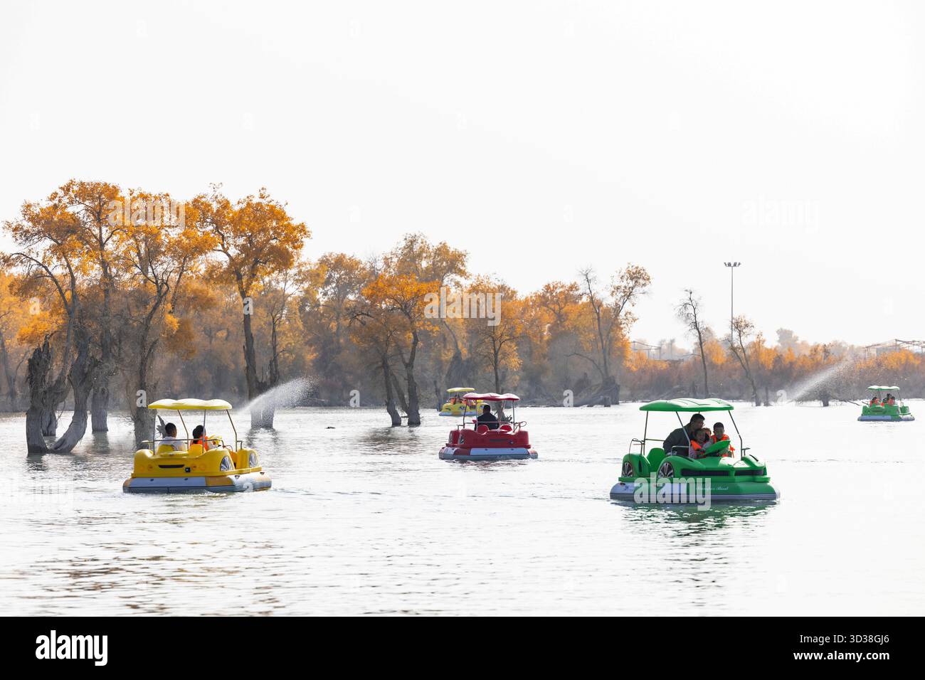 Golden populus euphratica forest attracts tourists in Shaya County ...