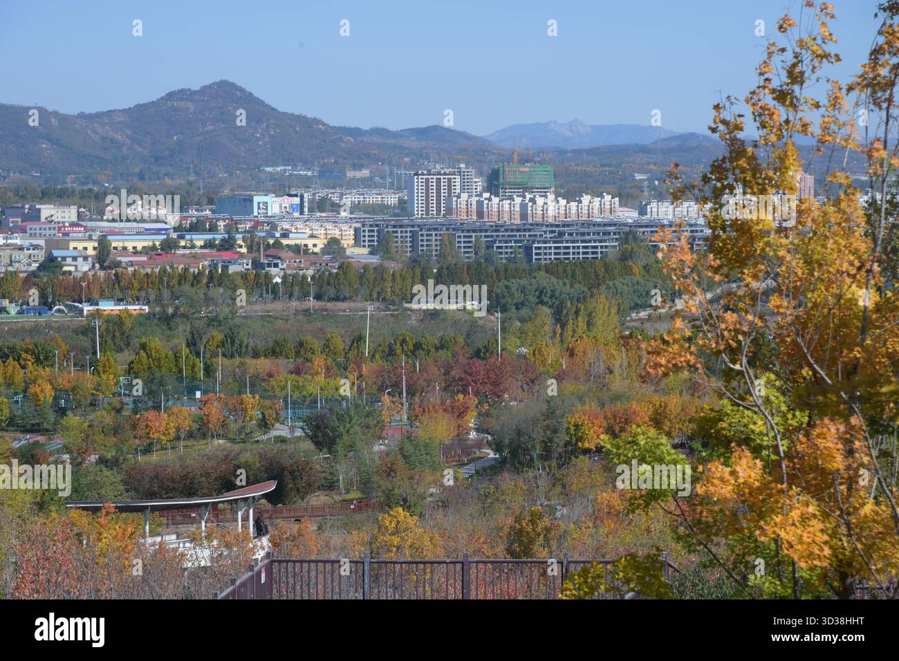 Autumn scenery at a park in Jinan City, east China's Shandong Province ...