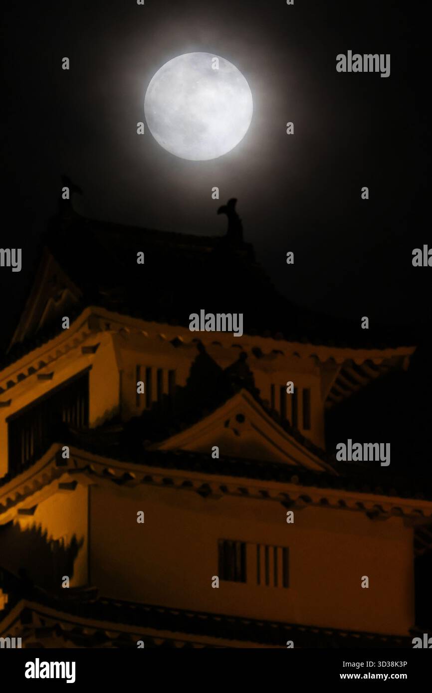 The photo shows the largest full moon of the year, a "supermoon ...