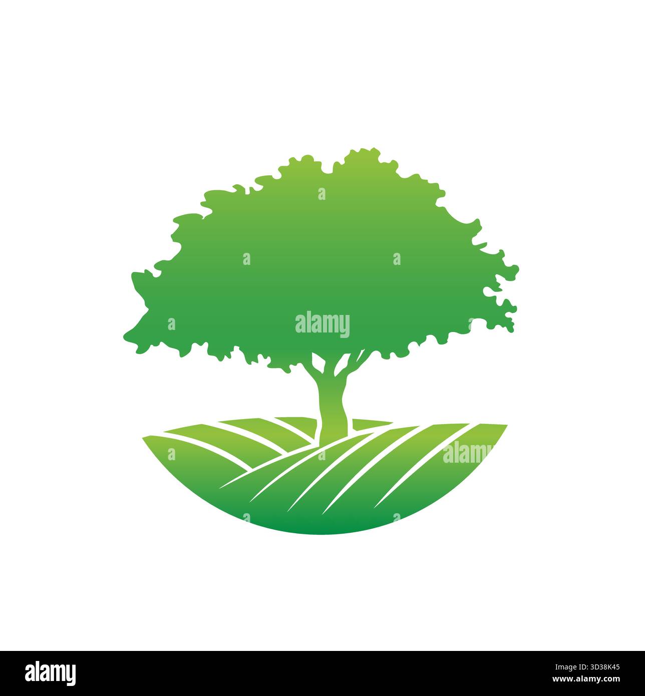 Creative Oak Tree Logo Vector Symbol Design Illustration Stock Vector ...