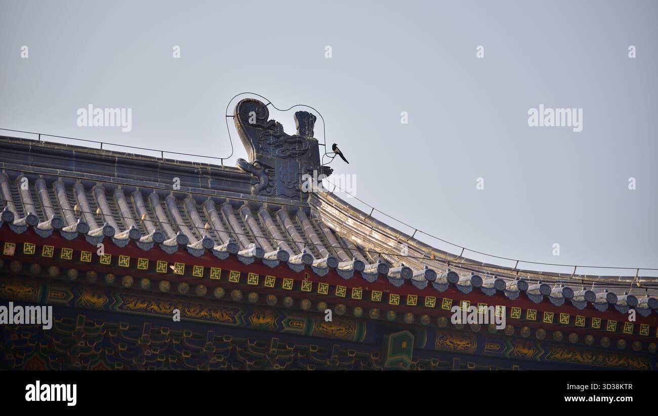Imperial roof figure decorations, architectural details from the Temple ...