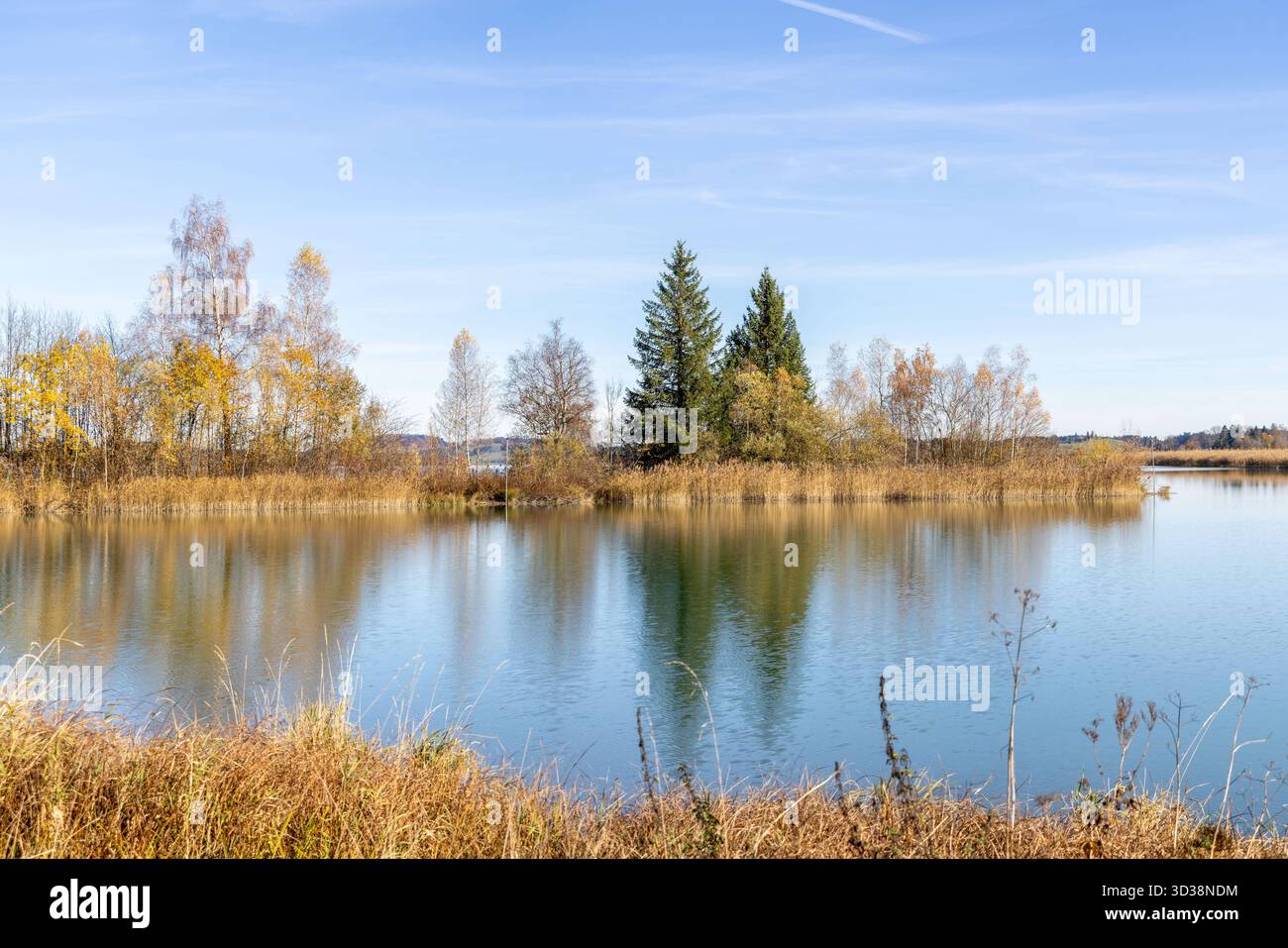 Sonniger Spätherbst Die Sonne scheint am Vormittag auf den Forggensee ...