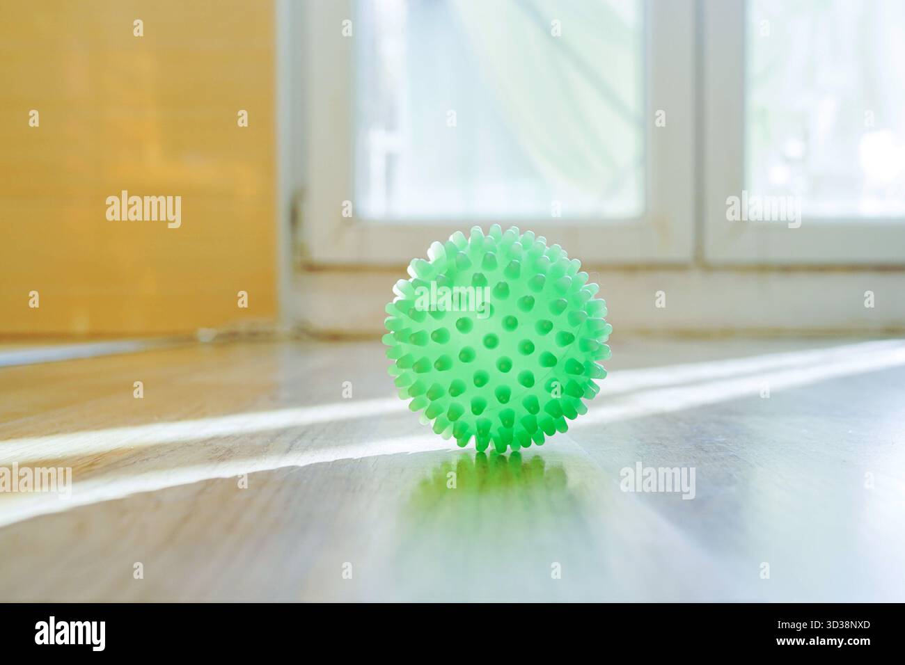 Spiky massage ball on the floor in a sunlit room interior. Concepts of ...