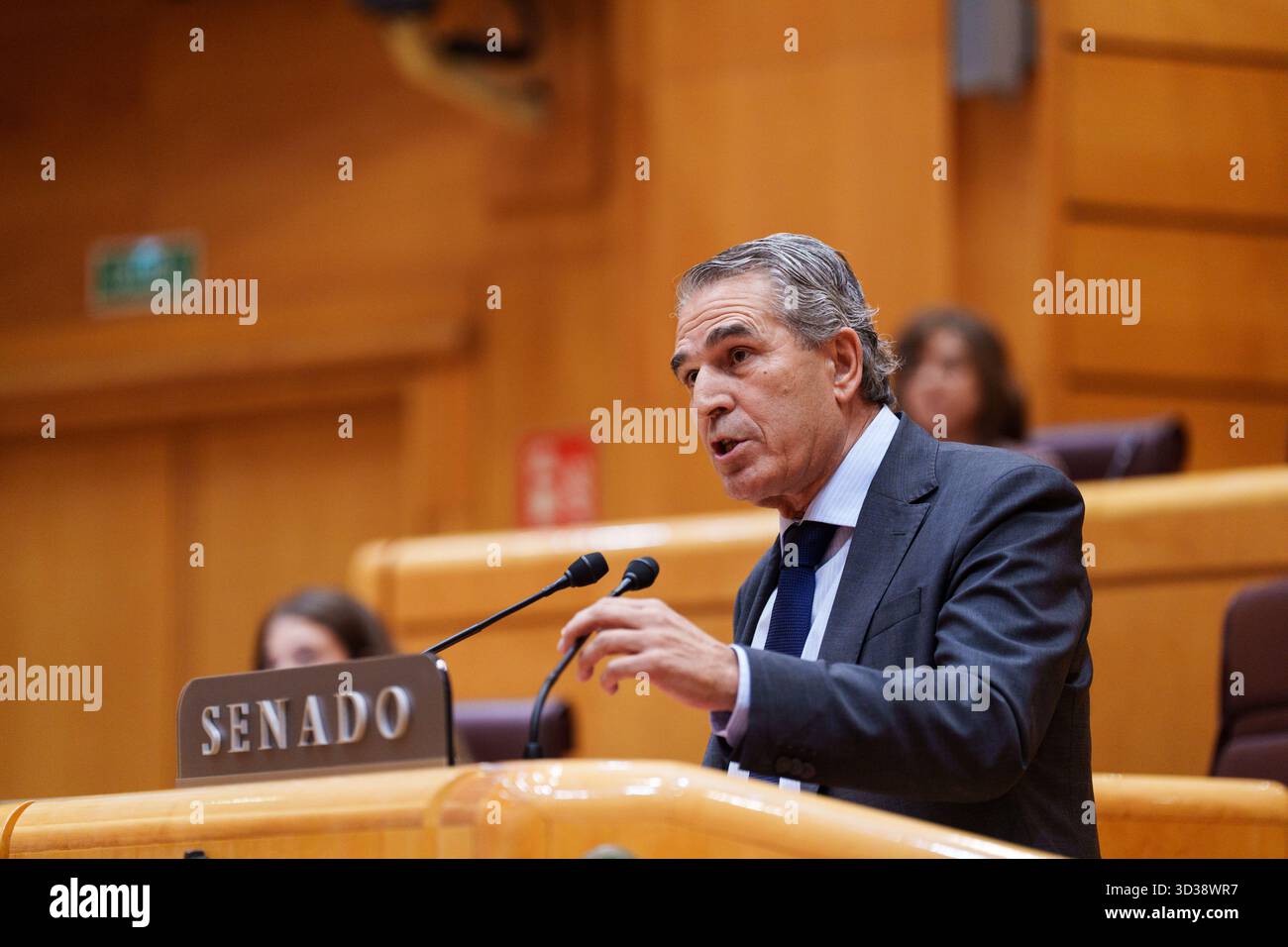 The PP senator Juan José Sanz Vitorio speaks during a plenary session ...