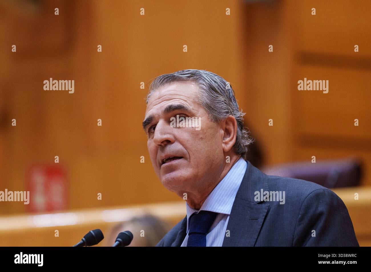 The PP senator Juan José Sanz Vitorio speaks during a plenary session ...