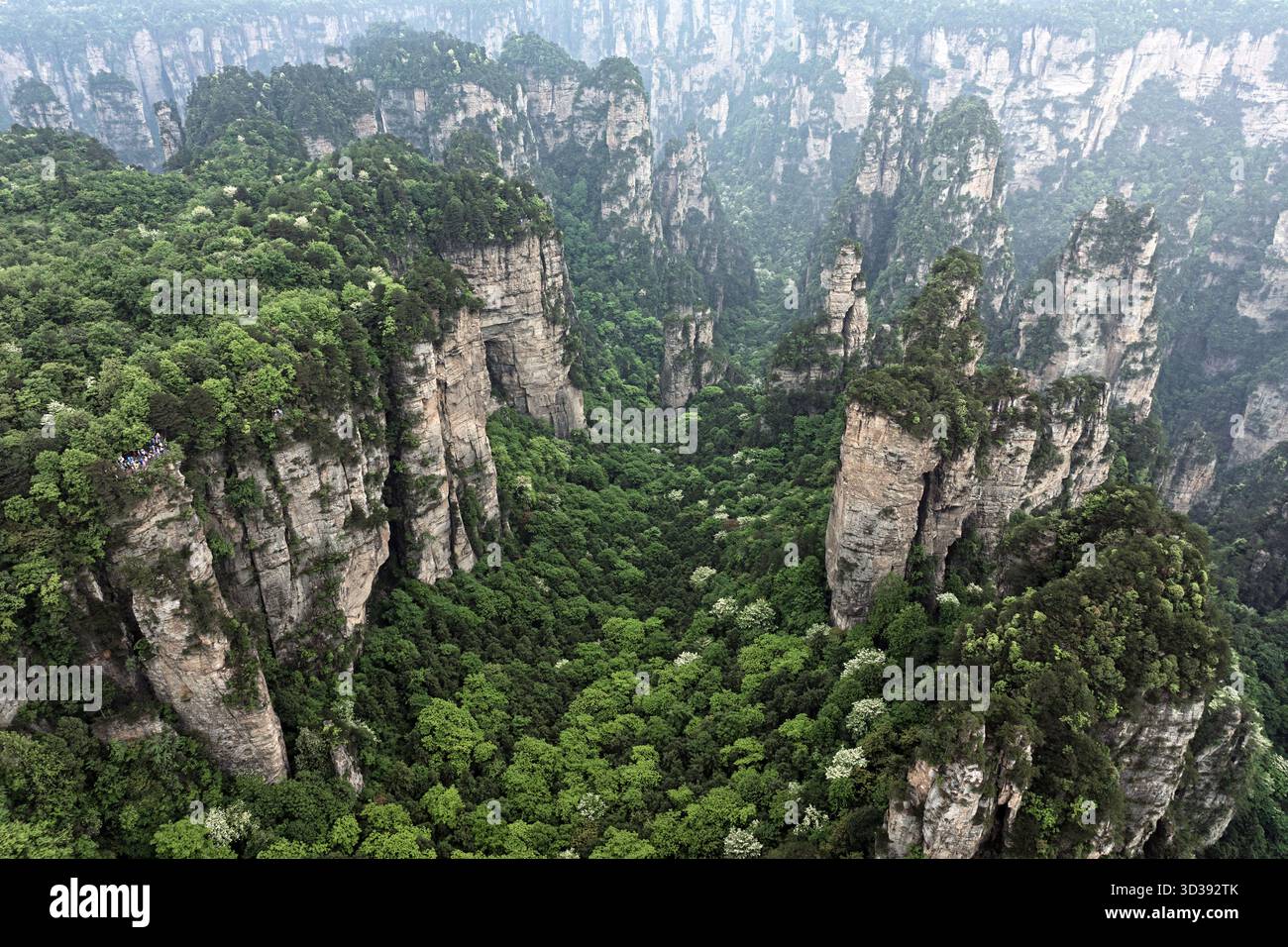 Aerial view of towering sandstone pillars piercing through a sea of ...