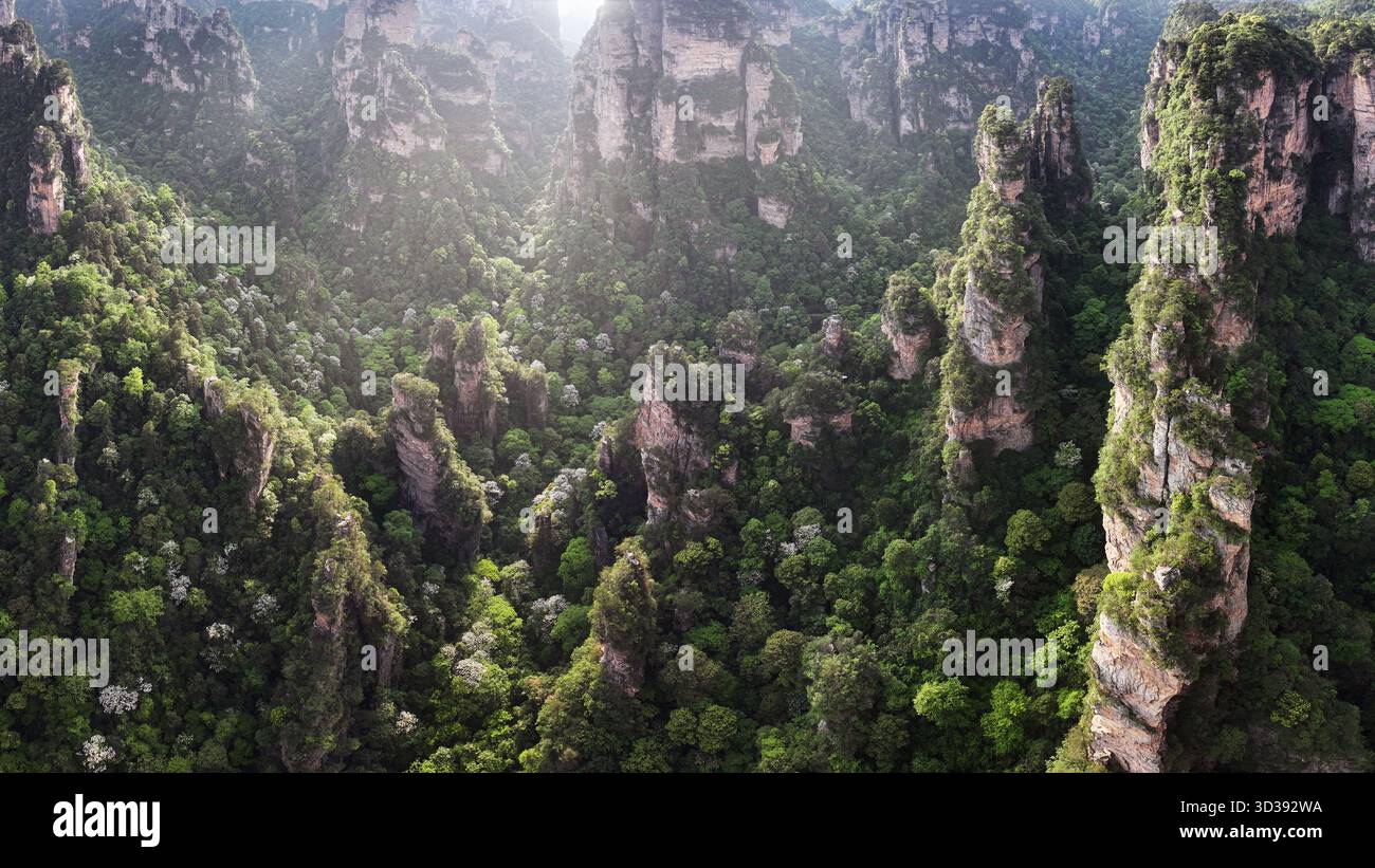 Aerial view of towering sandstone pillars piercing through the lush ...