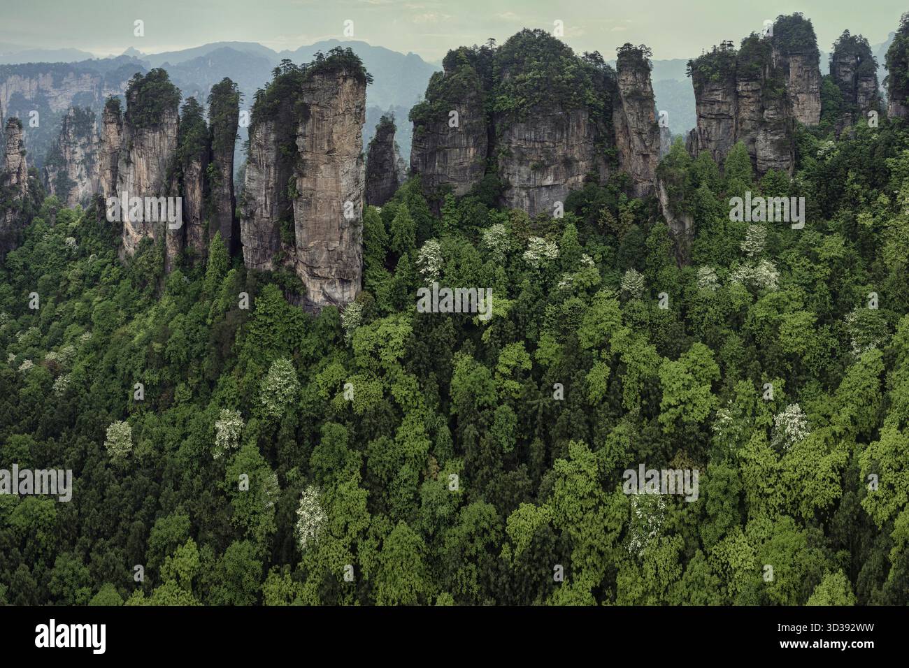 Jagged sandstone pillars peaks rise hi-res stock photography and images ...