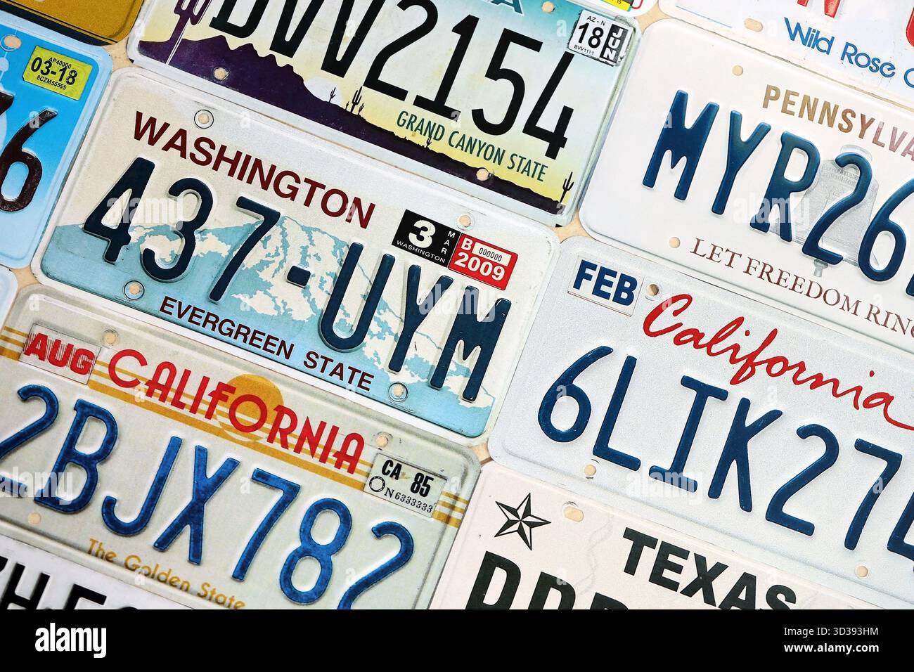 KYIV, UKRAINE - OCTOBER 18, 2025 Many US license plates of different ...