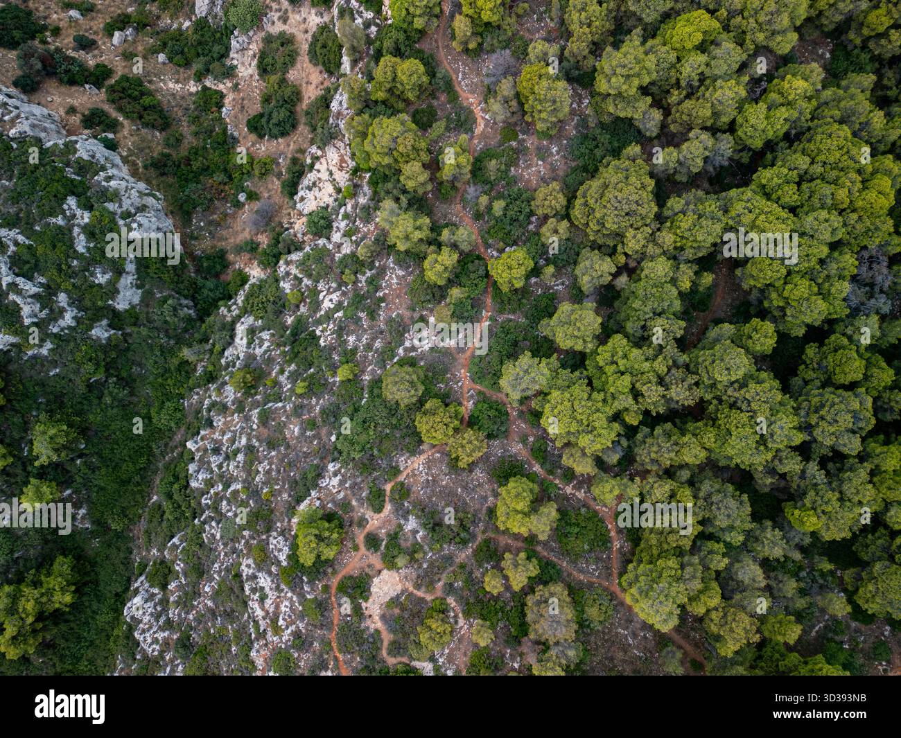 Aerial view of winding paths snaking through the rugged, verdant ...