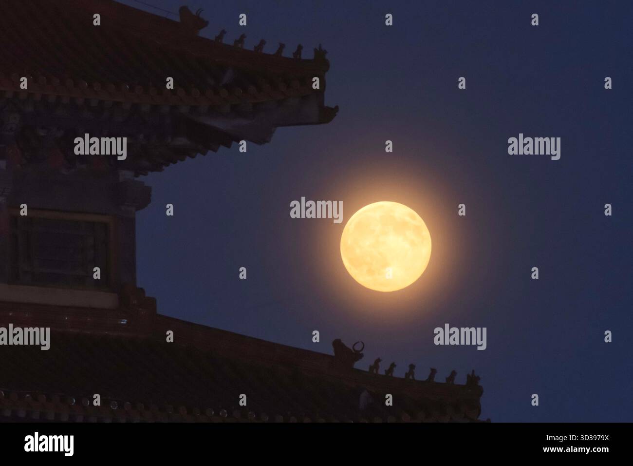 (251105) -- HARBIN, Nov. 5, 2025 (Xinhua) -- A full moon is pictured in ...