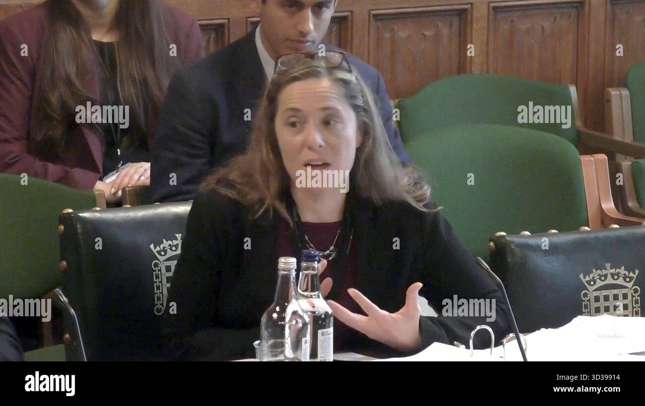 Screen grab of Fiona Mettam, Director, Scotland Office, appearing ...