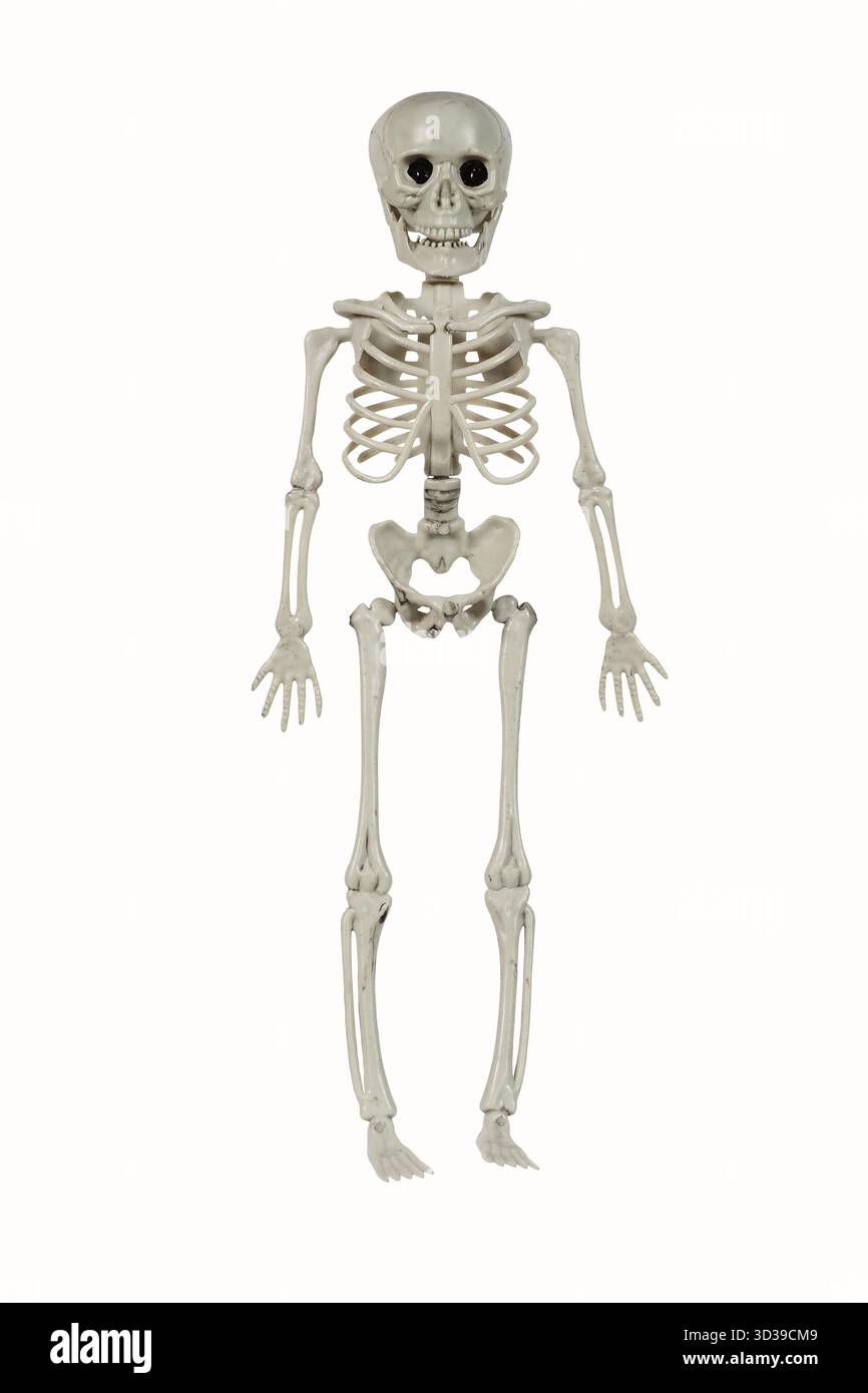 Skeleton hi-res stock photography and images - Alamy