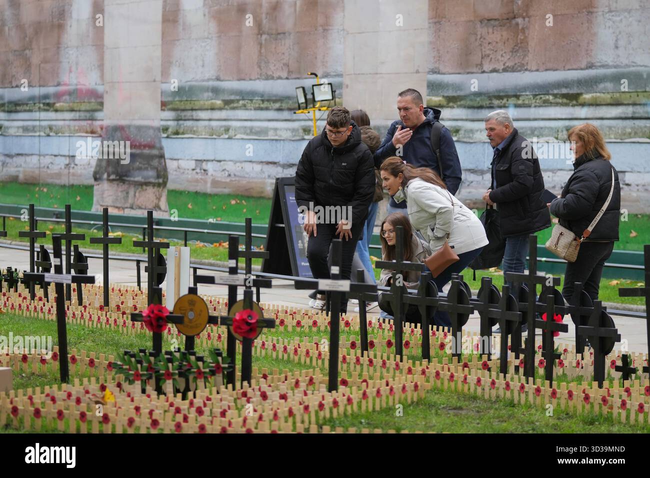 People look at the remembrance poppies in the Field of Remembrance at ...