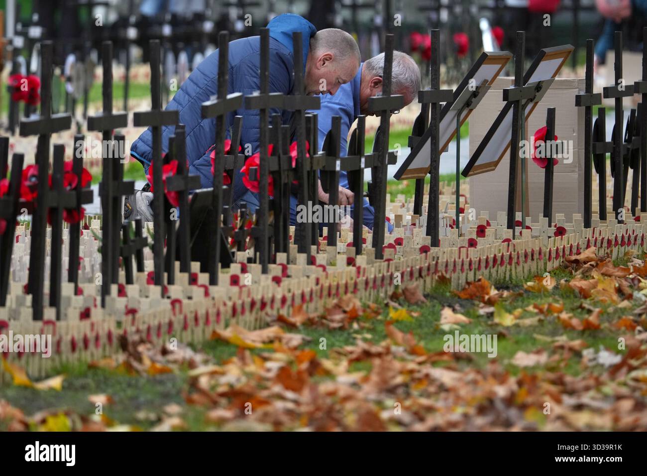 People plant the remembrance poppies in the Field of Remembrance at ...