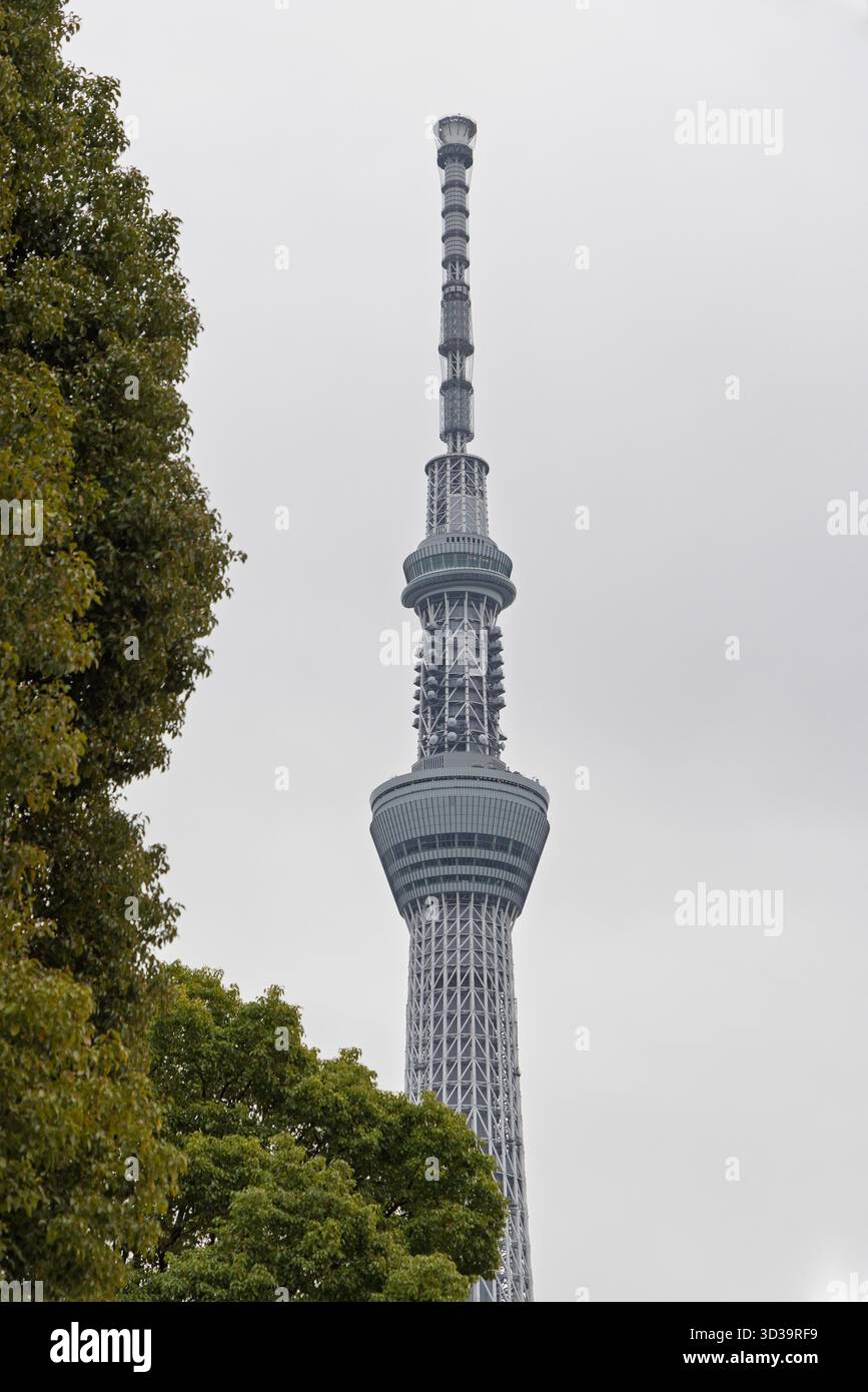 View of the The Sakura Skytree tower in Tokyo Japan. One of World's ...