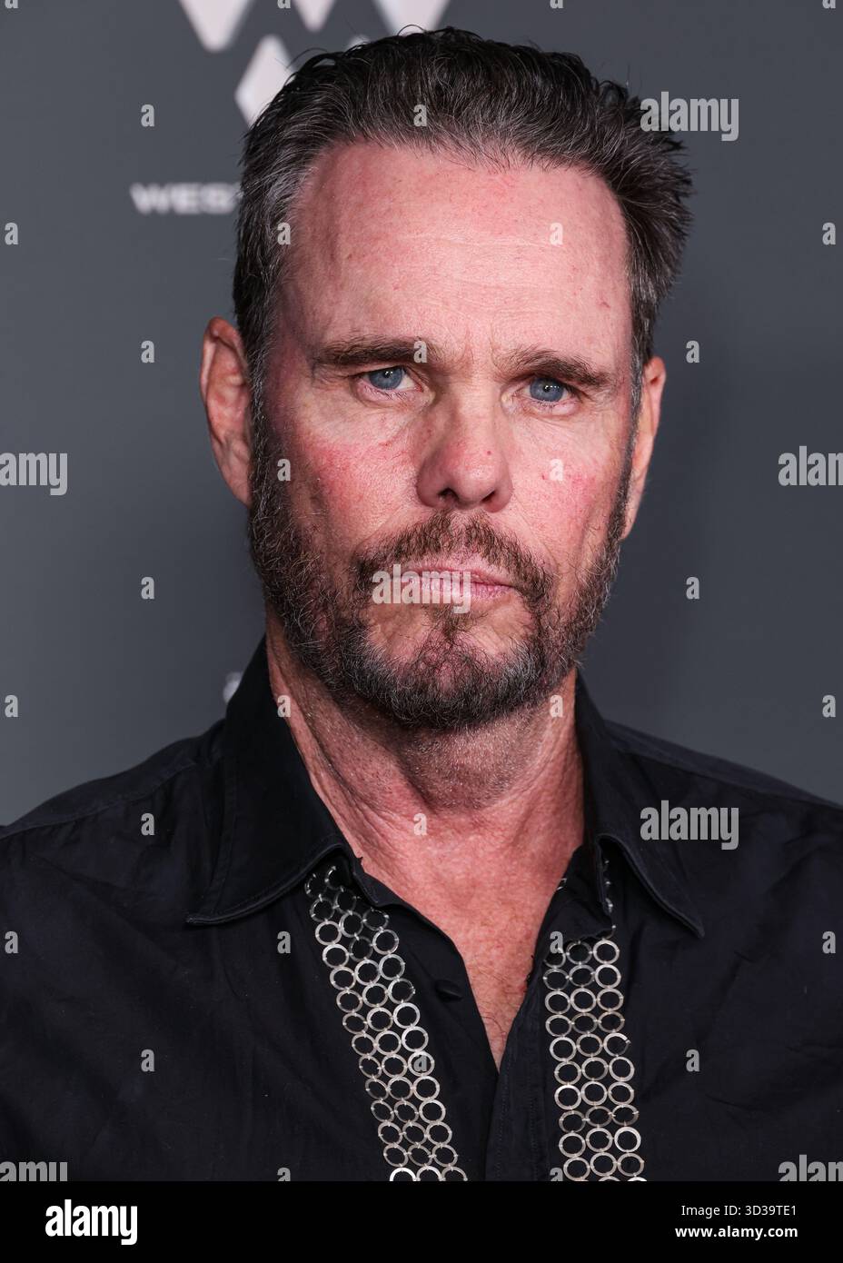 BEVERLY HILLS, LOS ANGELES, CALIFORNIA, USA - NOVEMBER 04: American ...