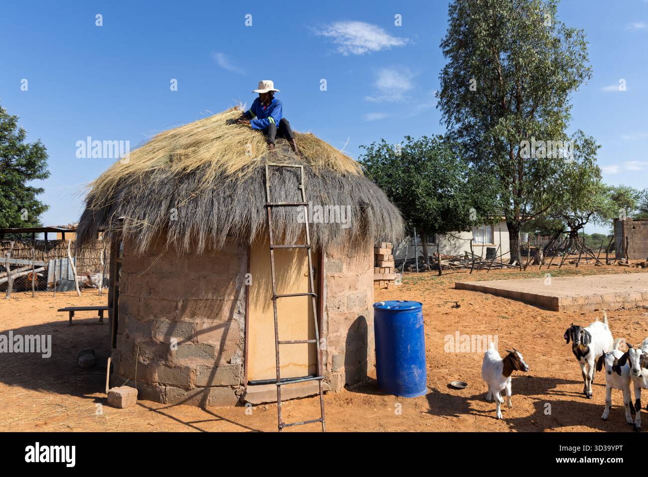 african village life, feeding the goats, woman limber on the roof ...