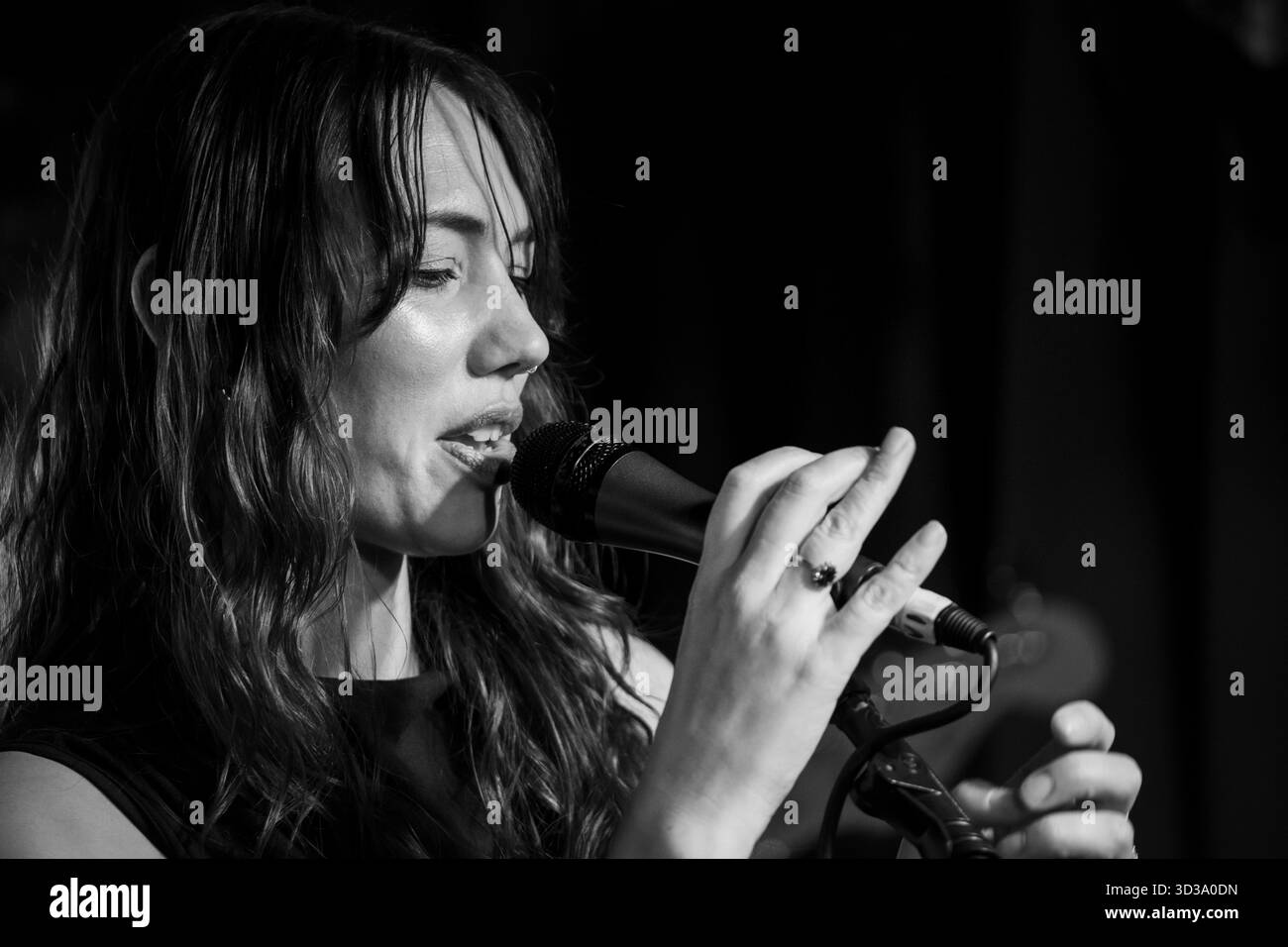 LIFE IN MONO, LIVE CONCERT, 2025: The band Life In Mono performing live ...