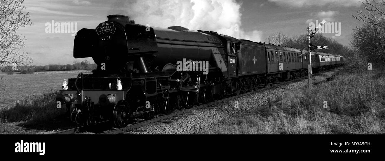 The Flying Scotsman steam train 4472 into Wansford Station, Nene Valley ...