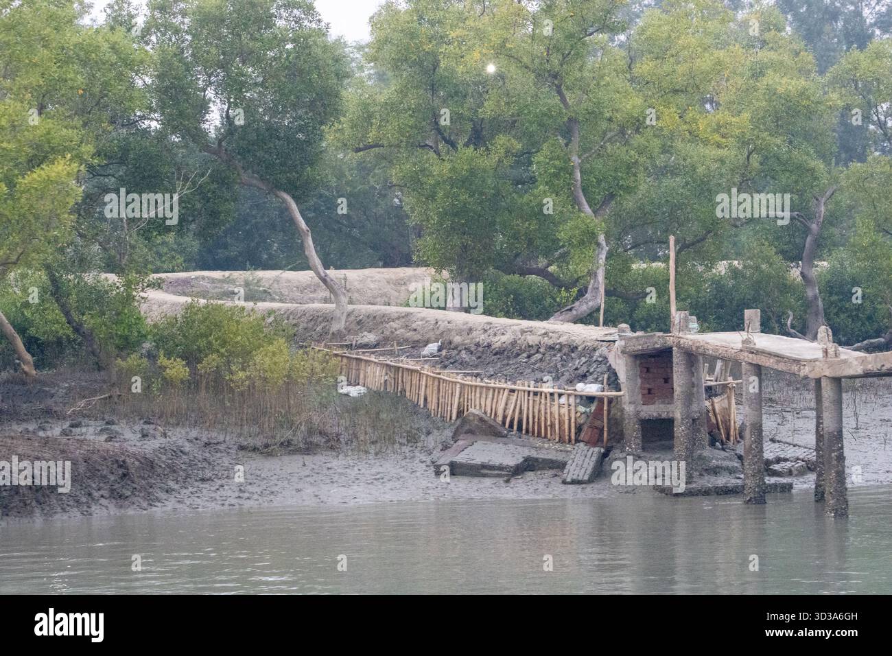 jetty at low tide with mangroves forest in the Sundarbans near Kolkata ...