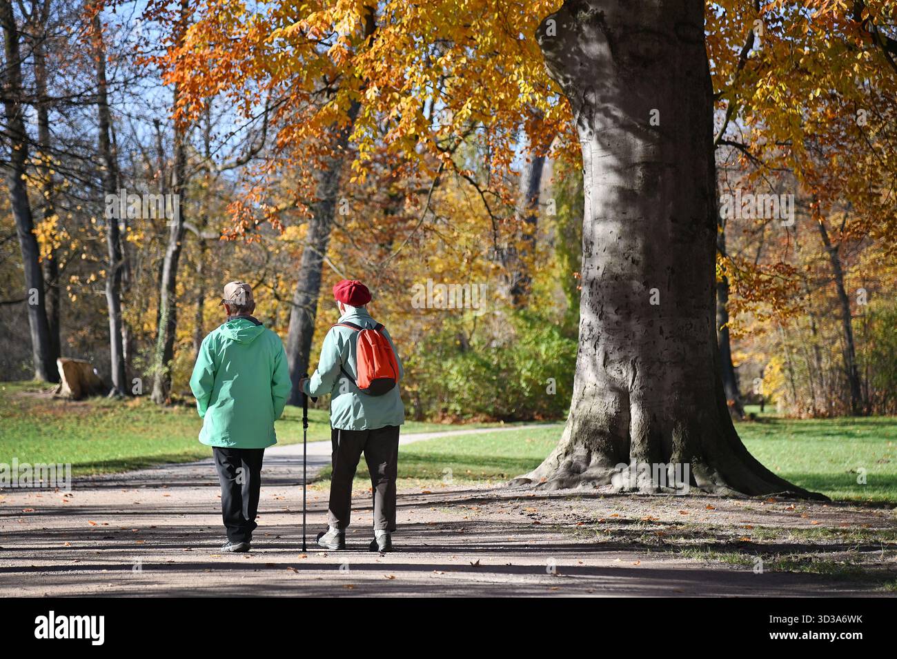 Weather picture from November 5, 2025. Golden October in November. A ...