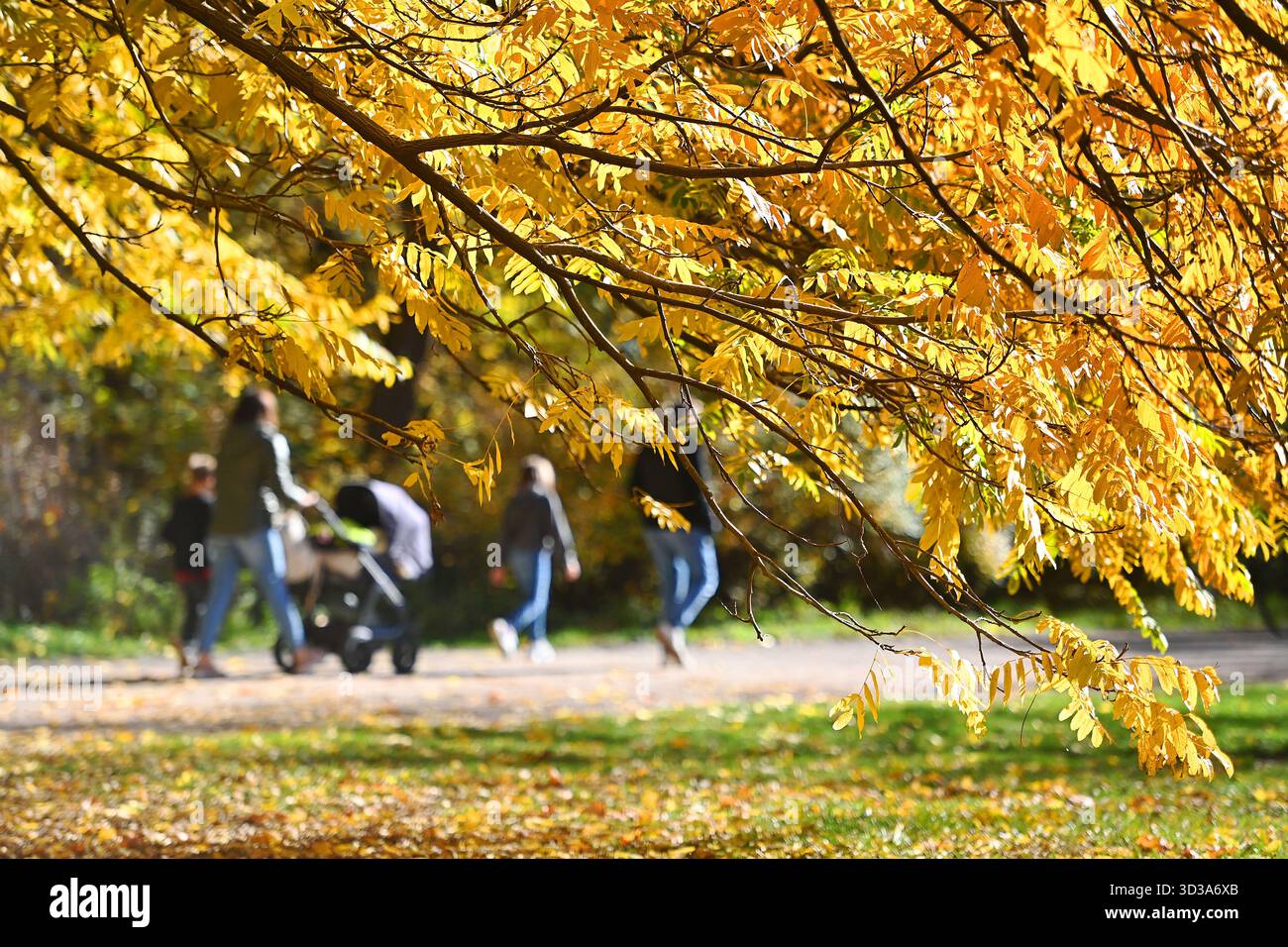 Weather picture from November 5, 2025. Golden October in November. A ...