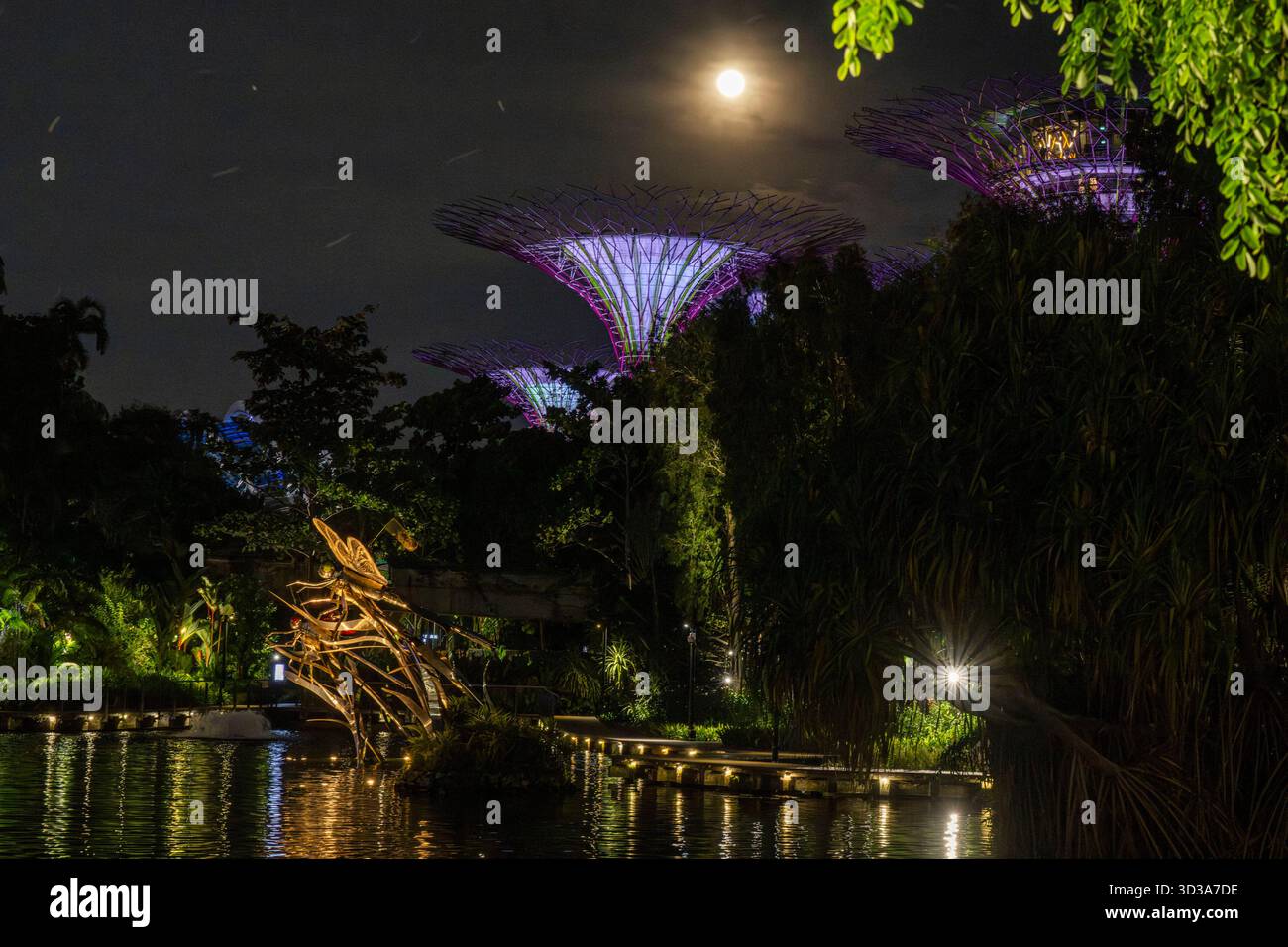 (251105) -- SINGAPORE, Nov. 5, 2025 (Xinhua) -- A full moon is pictured ...