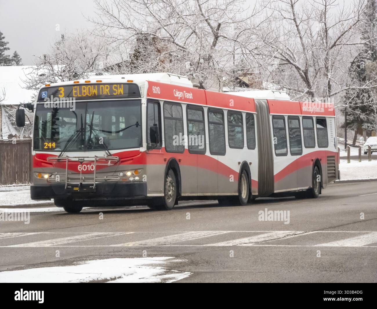 Calgary, Alberta, Canada. Mar 13, 2025. A Calgary Transit bus, route 3 ...