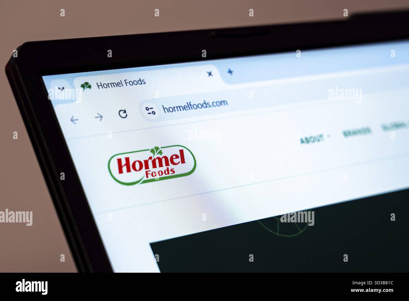 New York, USA - January 17, 2025: Hormel Foods website displayed on ...