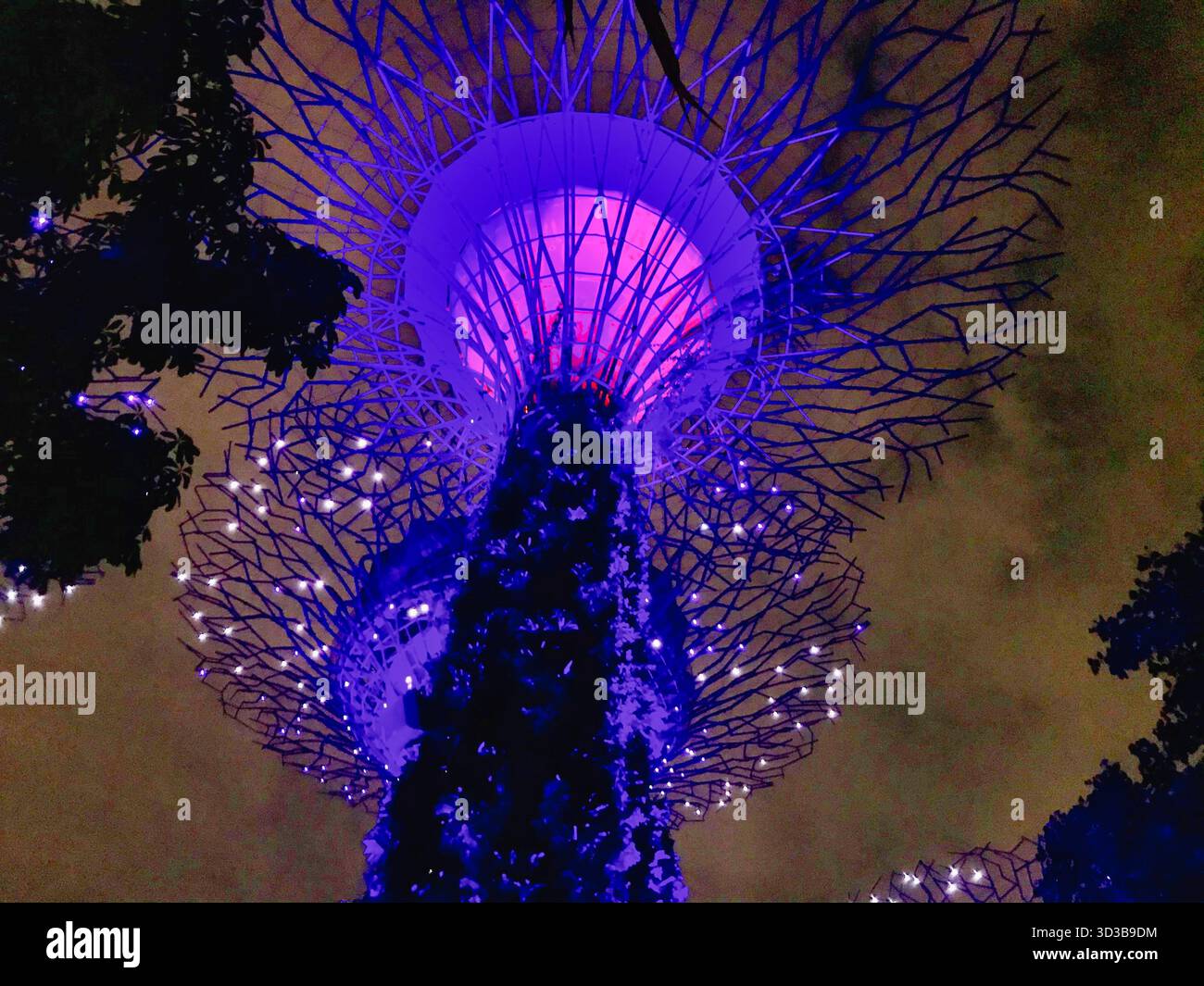 Aerial view towering supertrees hi-res stock photography and images - Alamy