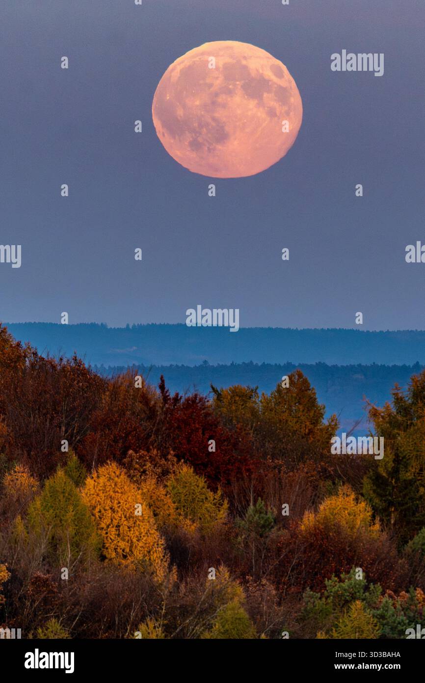 05 November 2025, Bavaria, Regensburg: The full moon rises over the ...