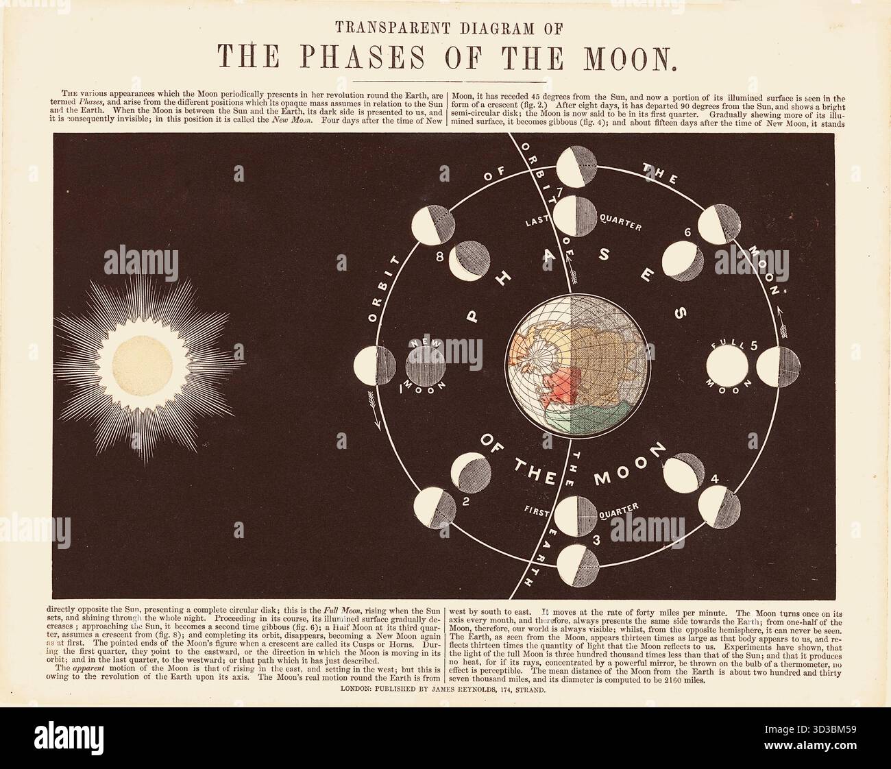 John Emslie (English, 1813–1875) - Transparent Diagram of the Phases of ...