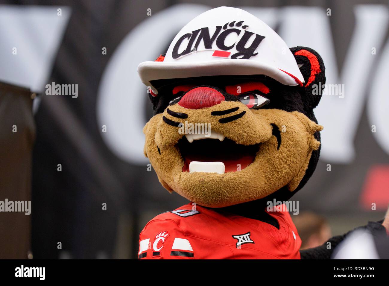 The Cincinnati Bearcat Mascot during a college football game Stock ...