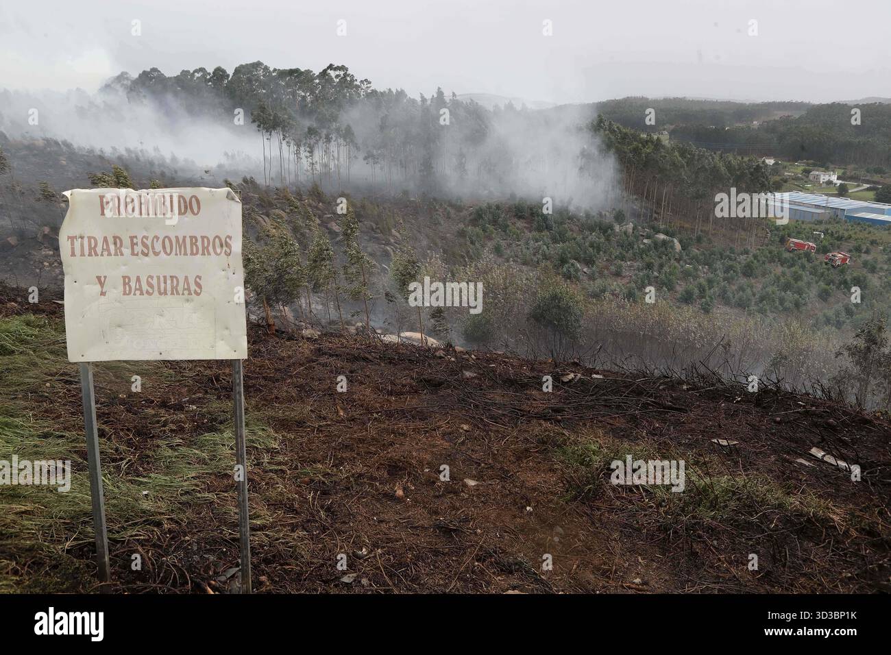 Areas burned by the forest fire in Cervo, on November 5, 2025, in Cervo ...