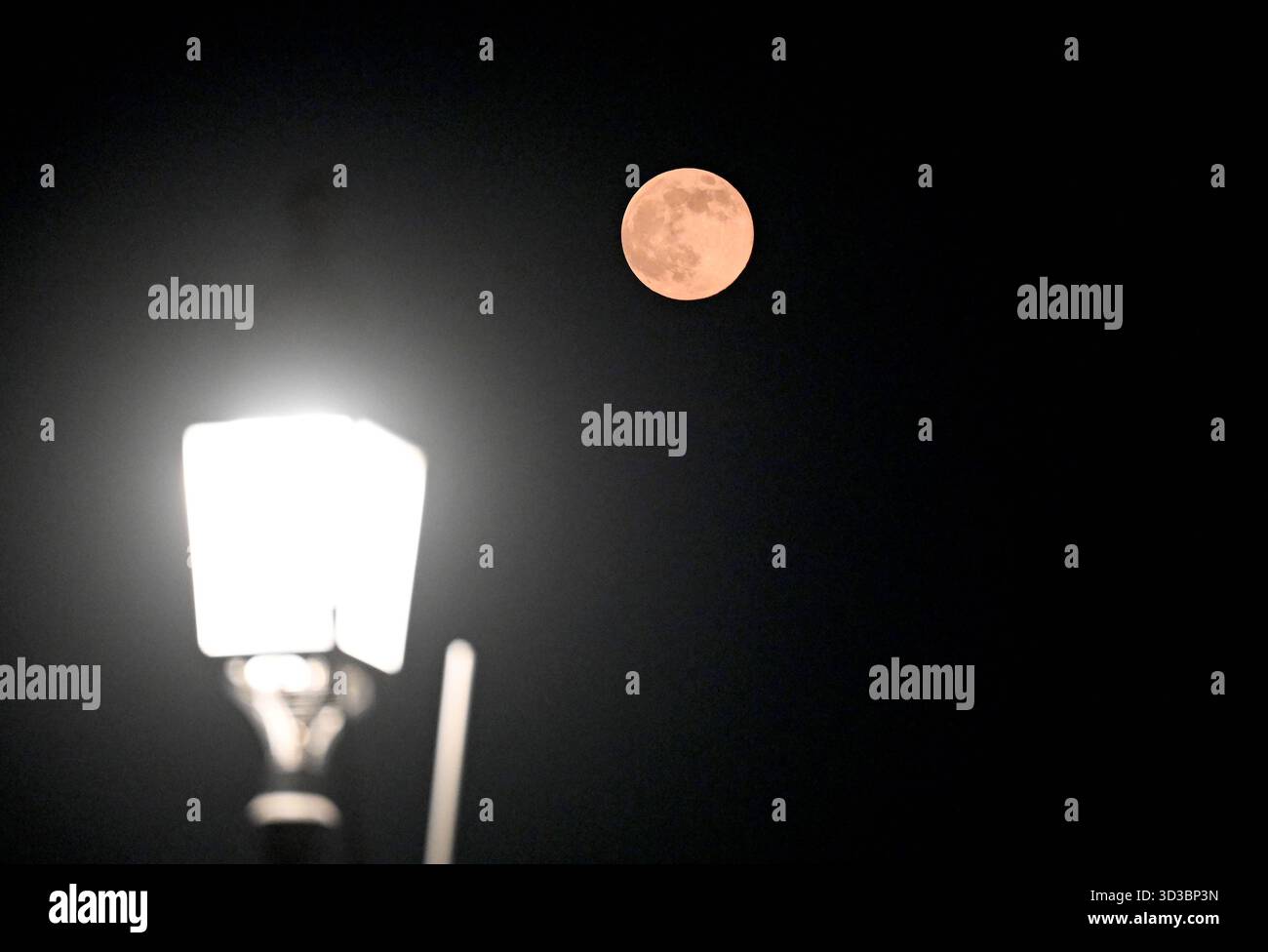 NEW DELHI, INDIA - NOVEMBER 5: A view of Beaver Moon shining bright at ...
