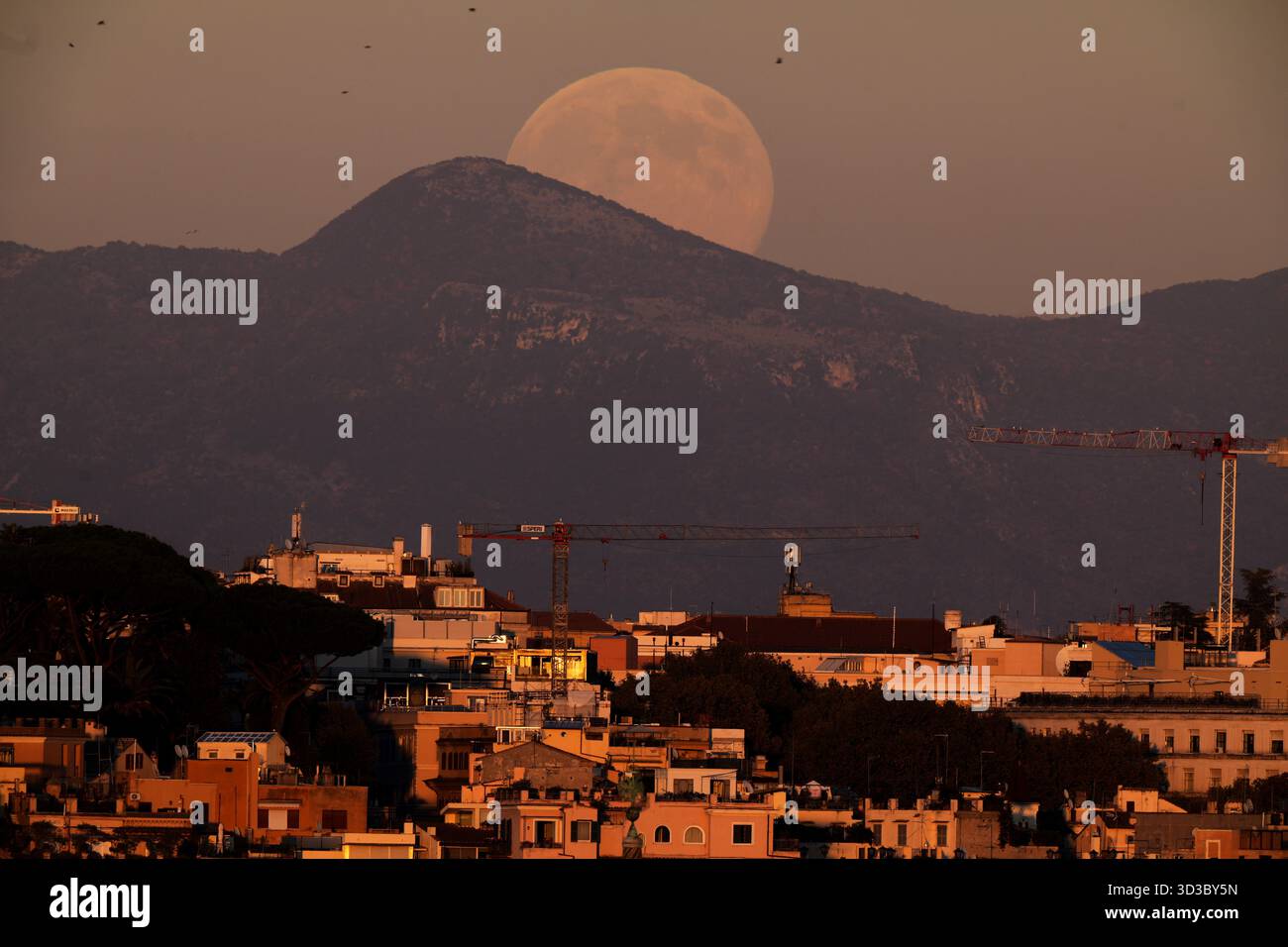 The last super moon of this year also known as beaver moon rises over ...