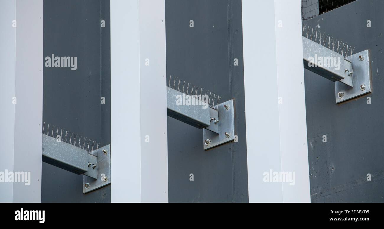 Bird control metal spikes mounted on a modern office building. Anti ...