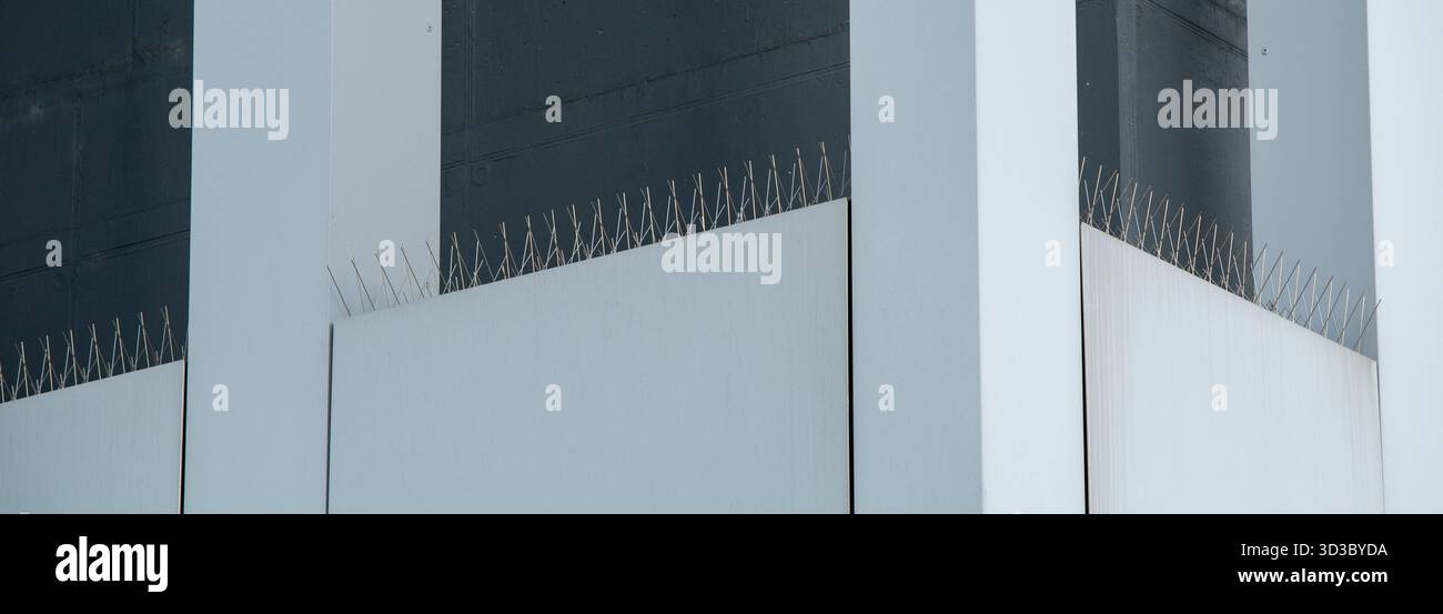 Bird control metal spikes mounted on a modern office building. Anti ...