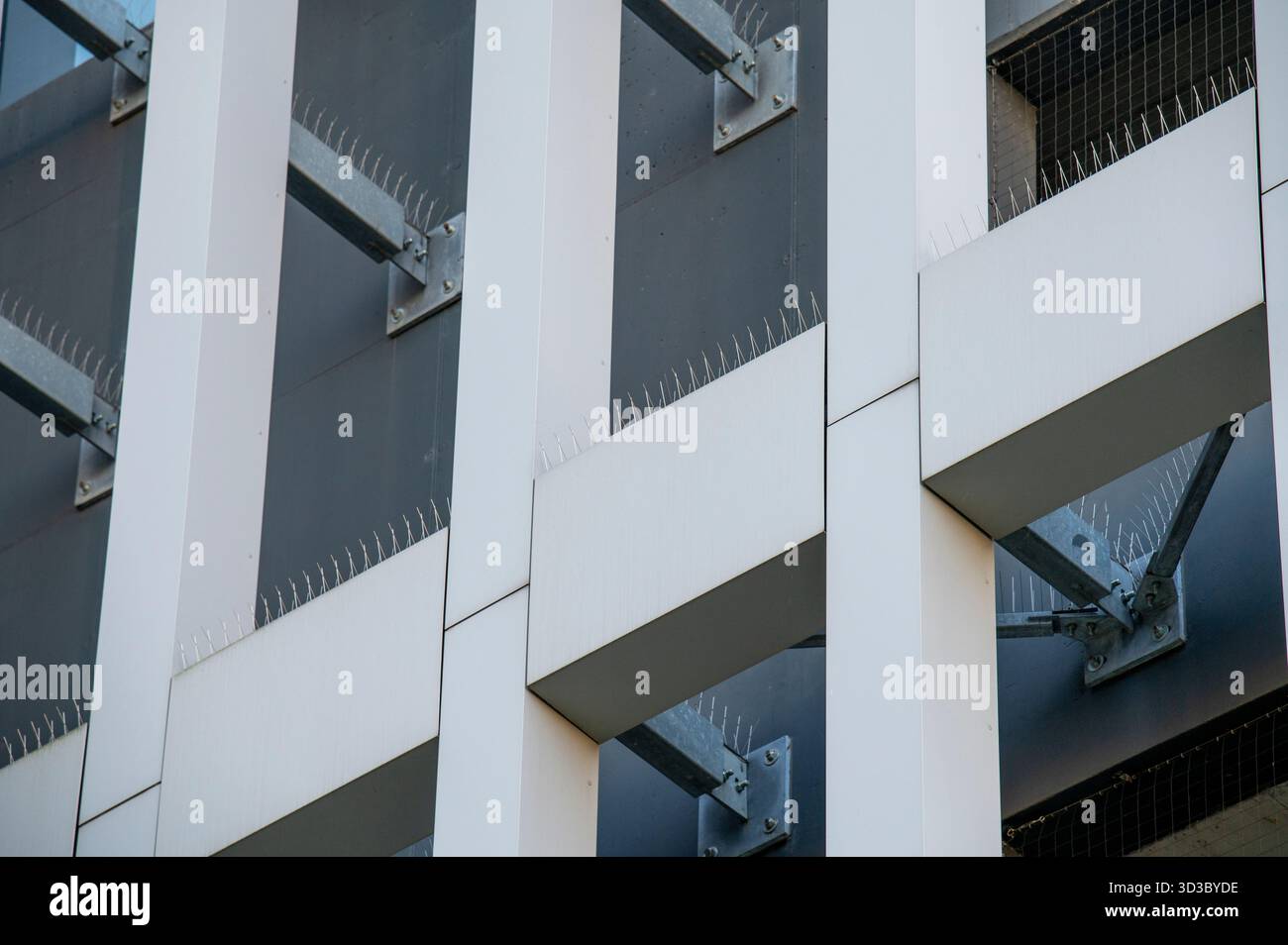 Bird control metal spikes mounted on a modern office building. Anti ...
