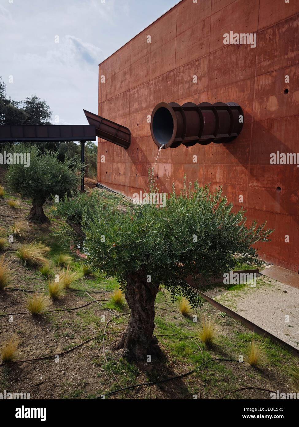Rural building olive tree hi-res stock photography and images - Alamy