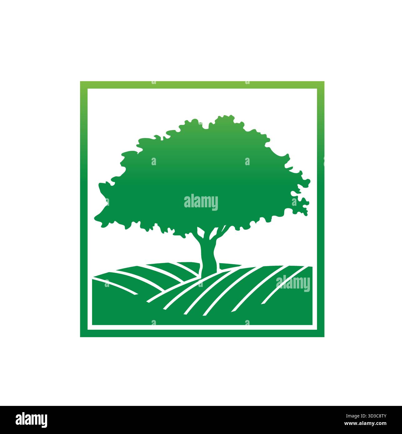 Creative Oak Tree Logo Vector Symbol Design Illustration Stock Vector ...