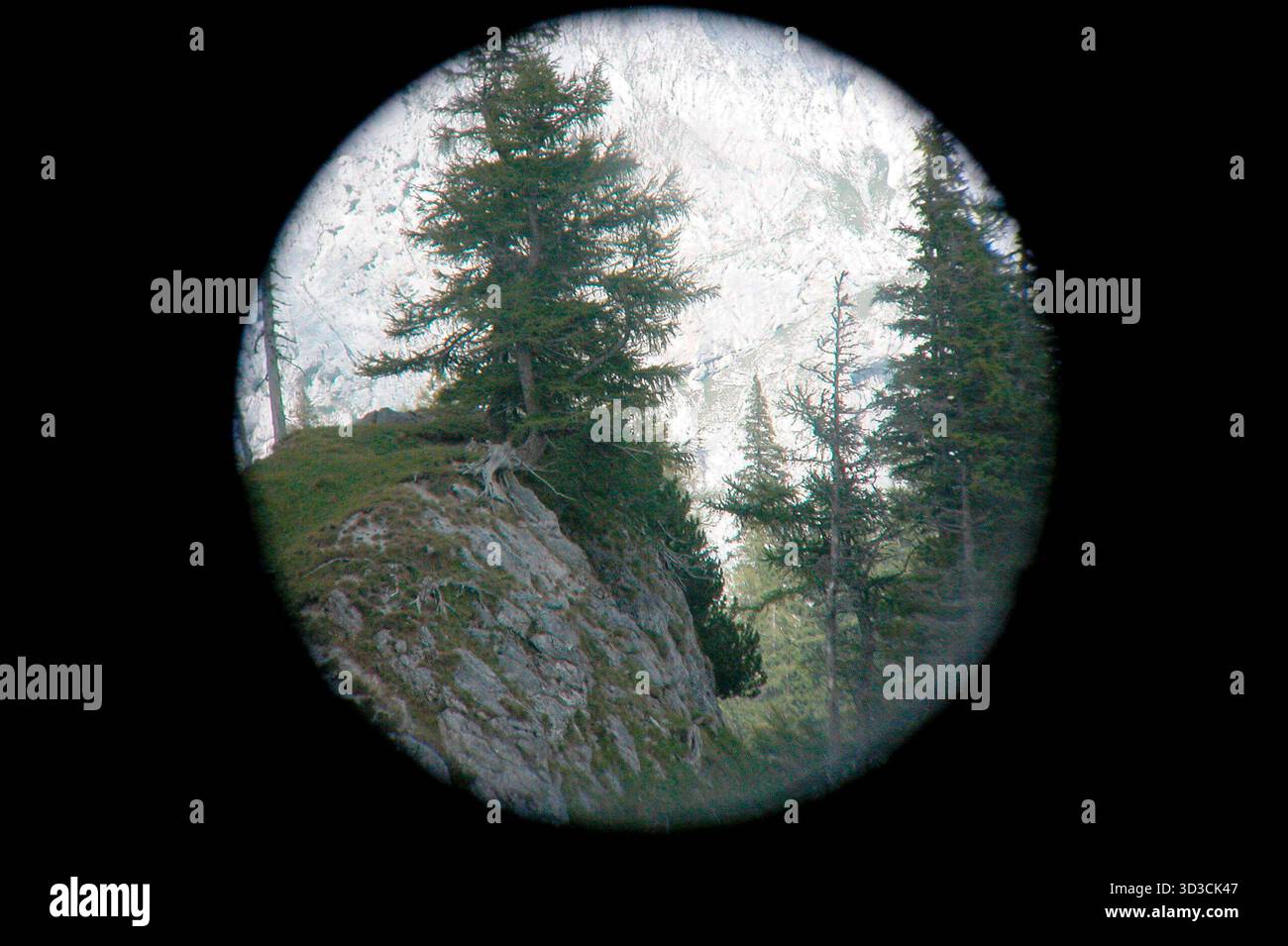 observation with a telescope or field glasses for seeing distant ...