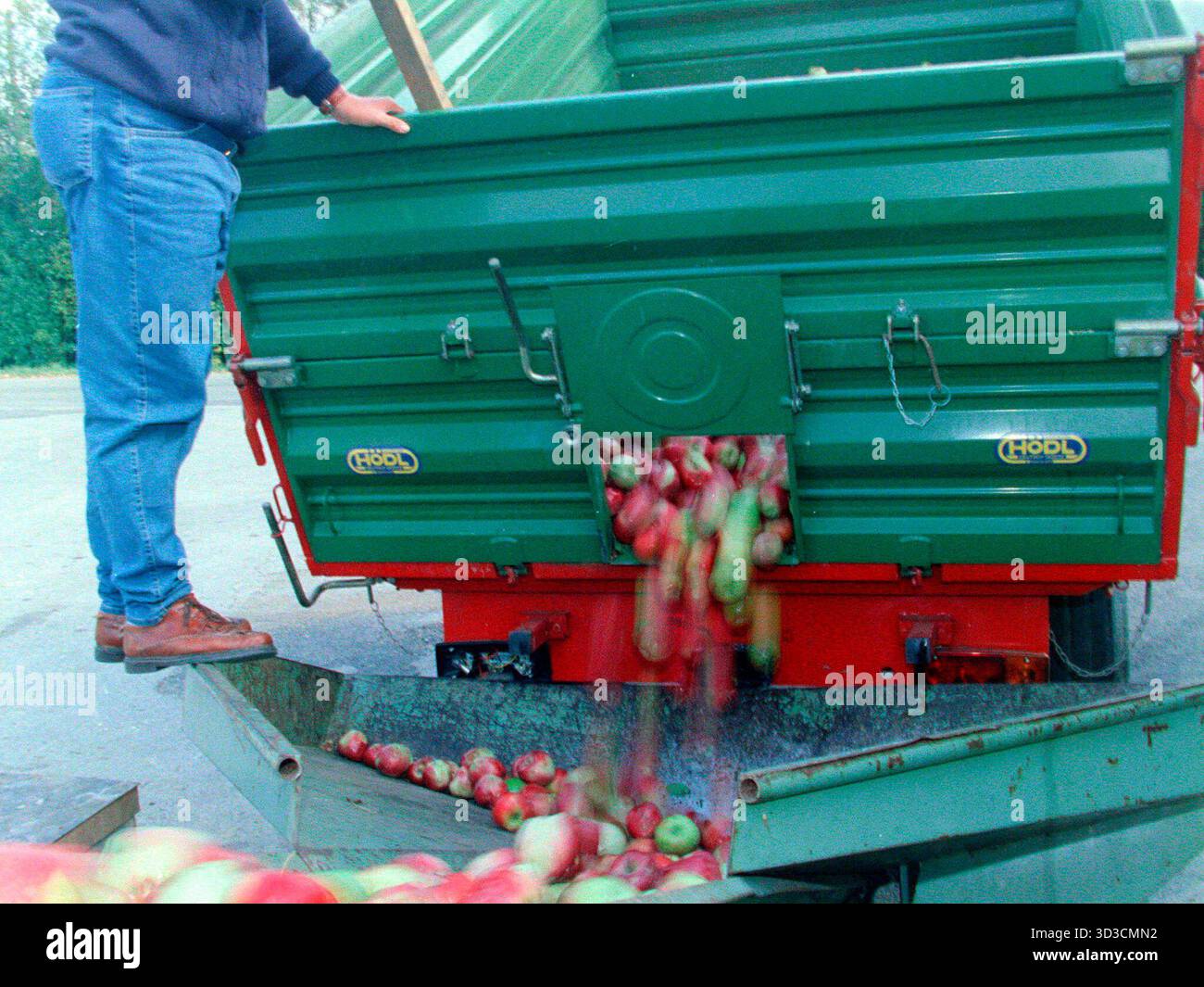 apple transport and shipping after harvest, fruit growing and food ...