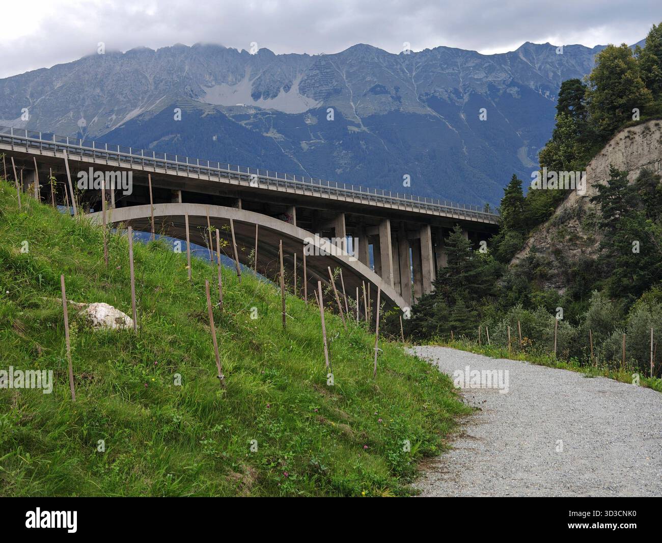 environmental protection in road traffic, exhaust gas reduction for the ...