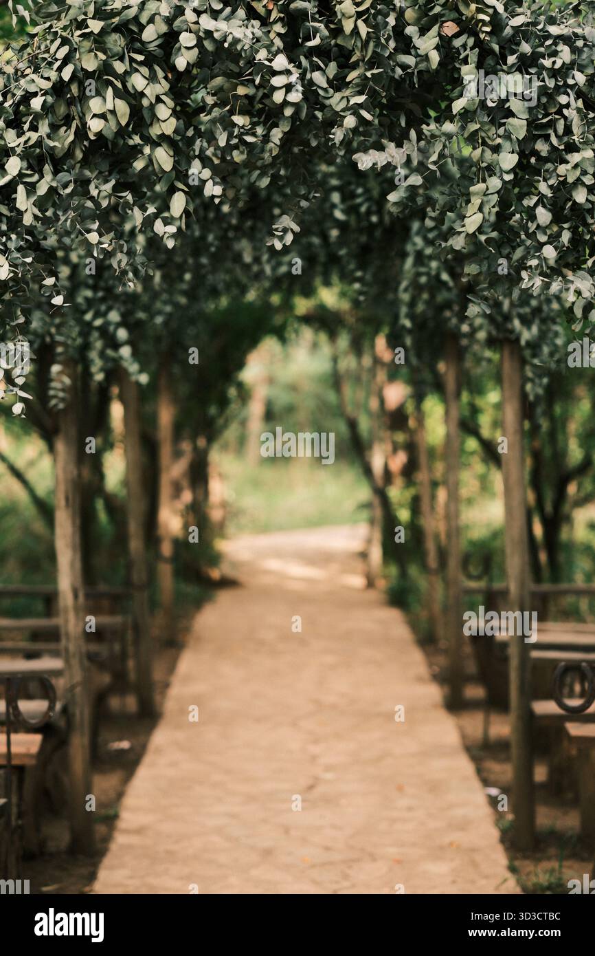 Leaf-Covered Garden Pathway with Wooden Arch Stock Photo - Alamy