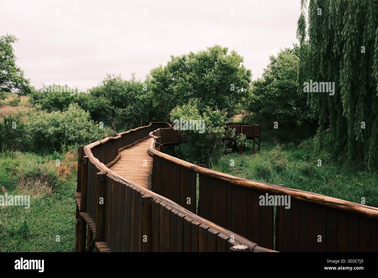 Scenic wooden boardwalk through hi-res stock photography and images - Alamy