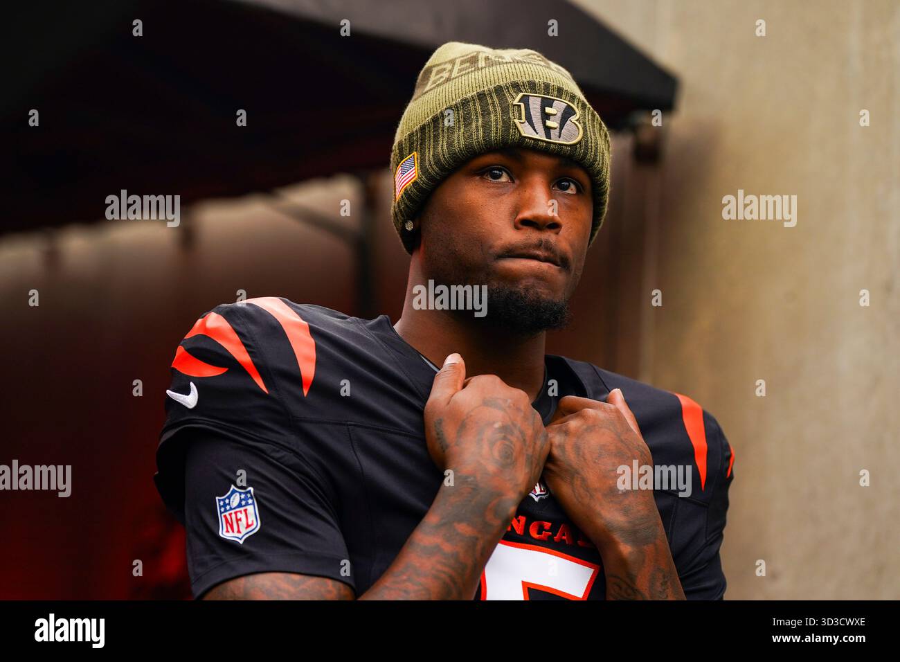 Cincinnati Bengals wide receiver Tee Higgins (5) looks on during an NFL ...