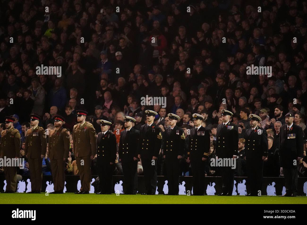 Members of the armed services line the pitch to mark the up coming ...